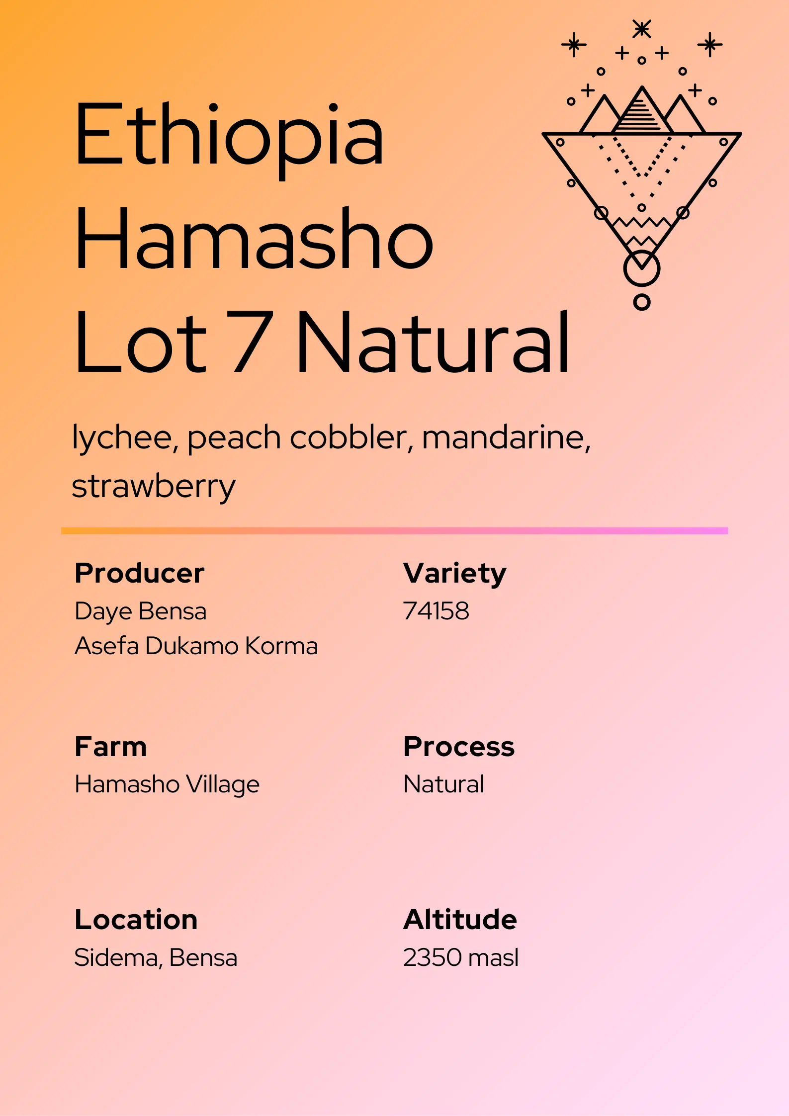 Pyramid Coffee | Specialty Coffee | Micro Specialty Coffee Roastery